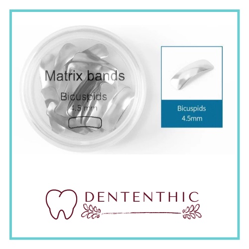 Jual Dental Matriks / Dental sectional matrix band contoured ginjal ...