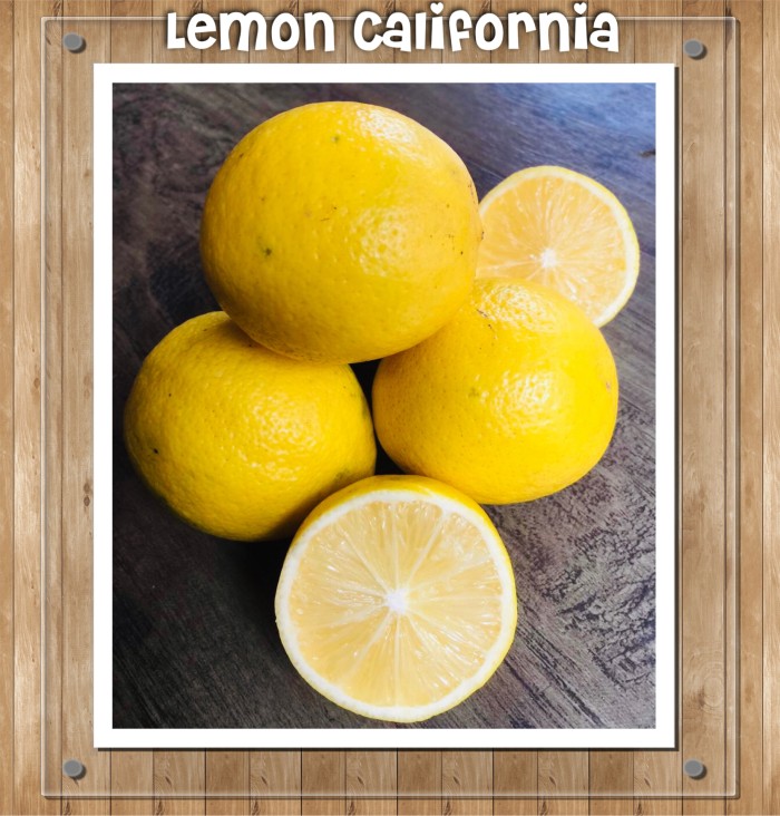 Jual Lemon California 1 Kg | Shopee Indonesia