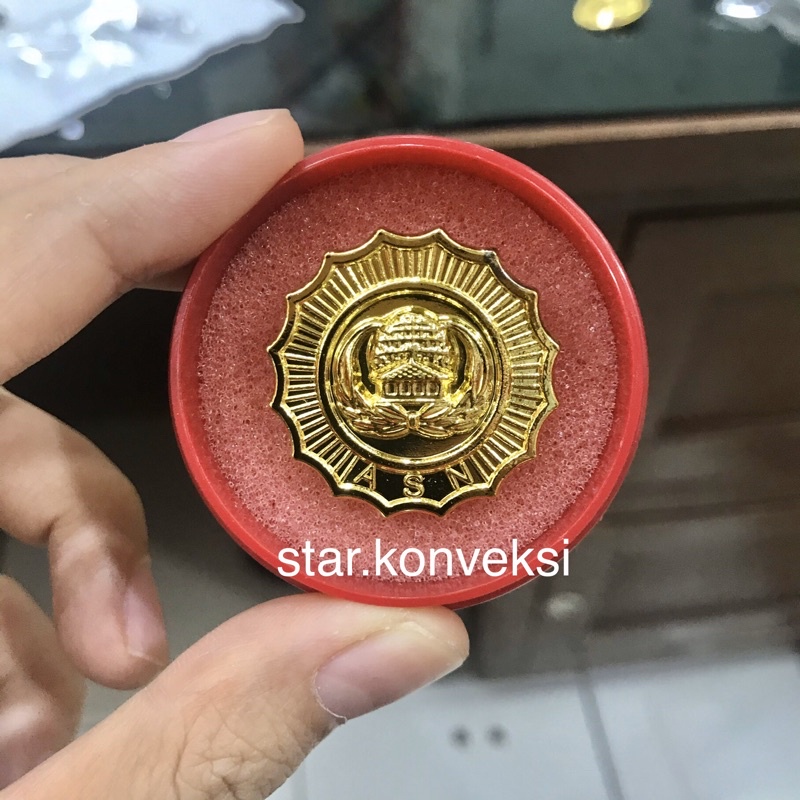 Jual Pin lencana Korpri ASN Golongan 4 IV Kuningan Sepuh Emas | Shopee ...