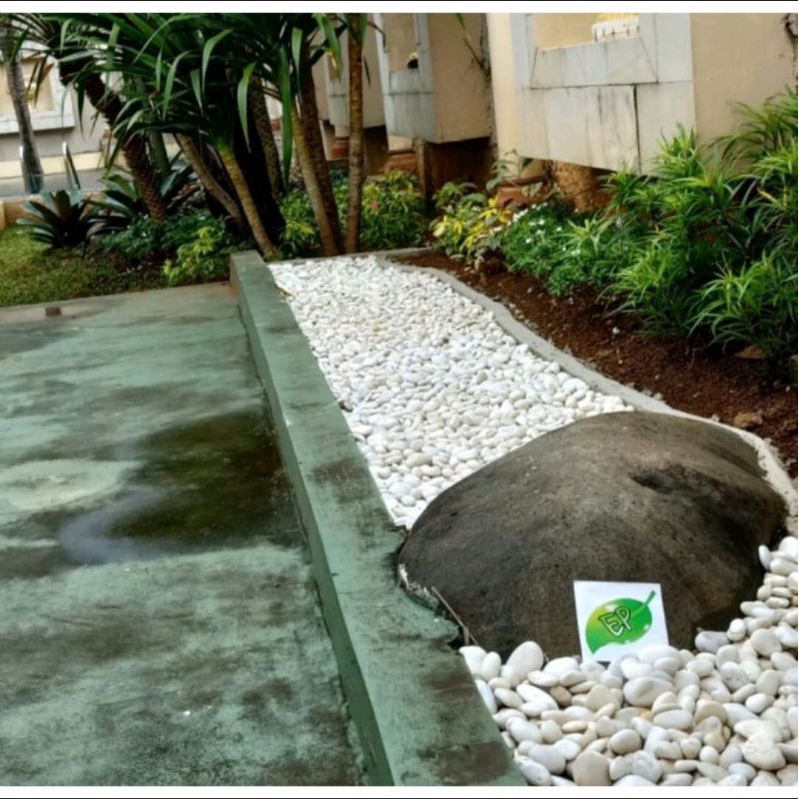 Jual Batu Koral Putih / Batu Hias Tanaman Aquarium dan Taman ( 1 Kg ...