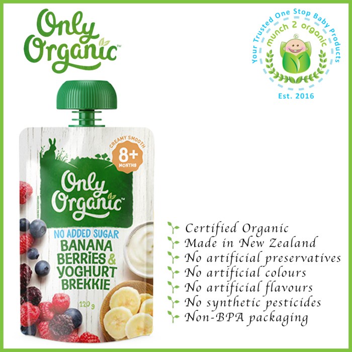 Jual ROMAN ONLY ORGANIC POUCH FOOD BANANA BERRIES & YOGHURT 9+ | Shopee ...
