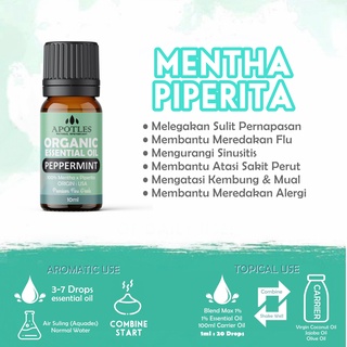 Jual Peppermint Essential Oil - Minyak Aromaterapi Peppermint Essential ...