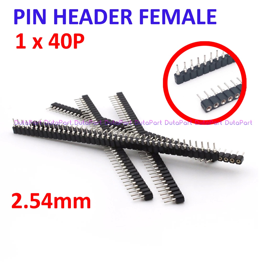 Jual Pin Header Female 1x40P 2.54mm Kaki Bulat Round Single Row Socket ...