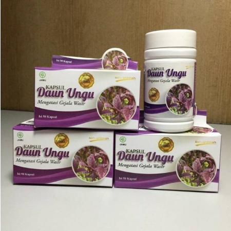 Jual Kapsul Daun Ungu Ash - Shihhah | Daun Ungu Obat Wasir / Kapsul daun ungu / Obat Wasir ...