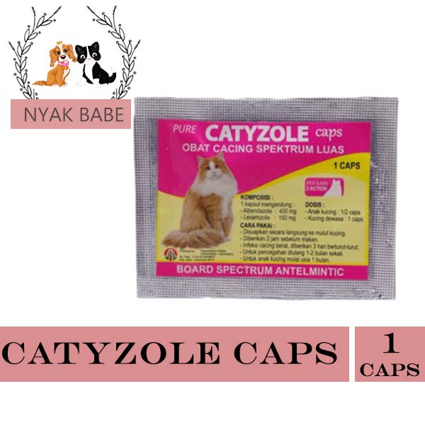 Jual Catyzole Capsul Obat Cacing Spektrum Luas Infeksi Cacing Berat ...