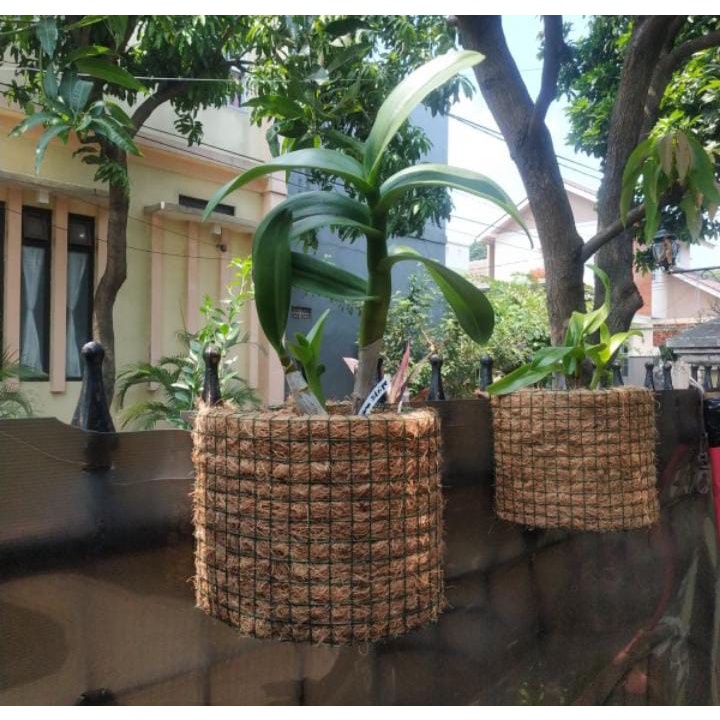 Jual pot bunga anggrek sabut kelapa pot strimin ram besi pot setengah ...