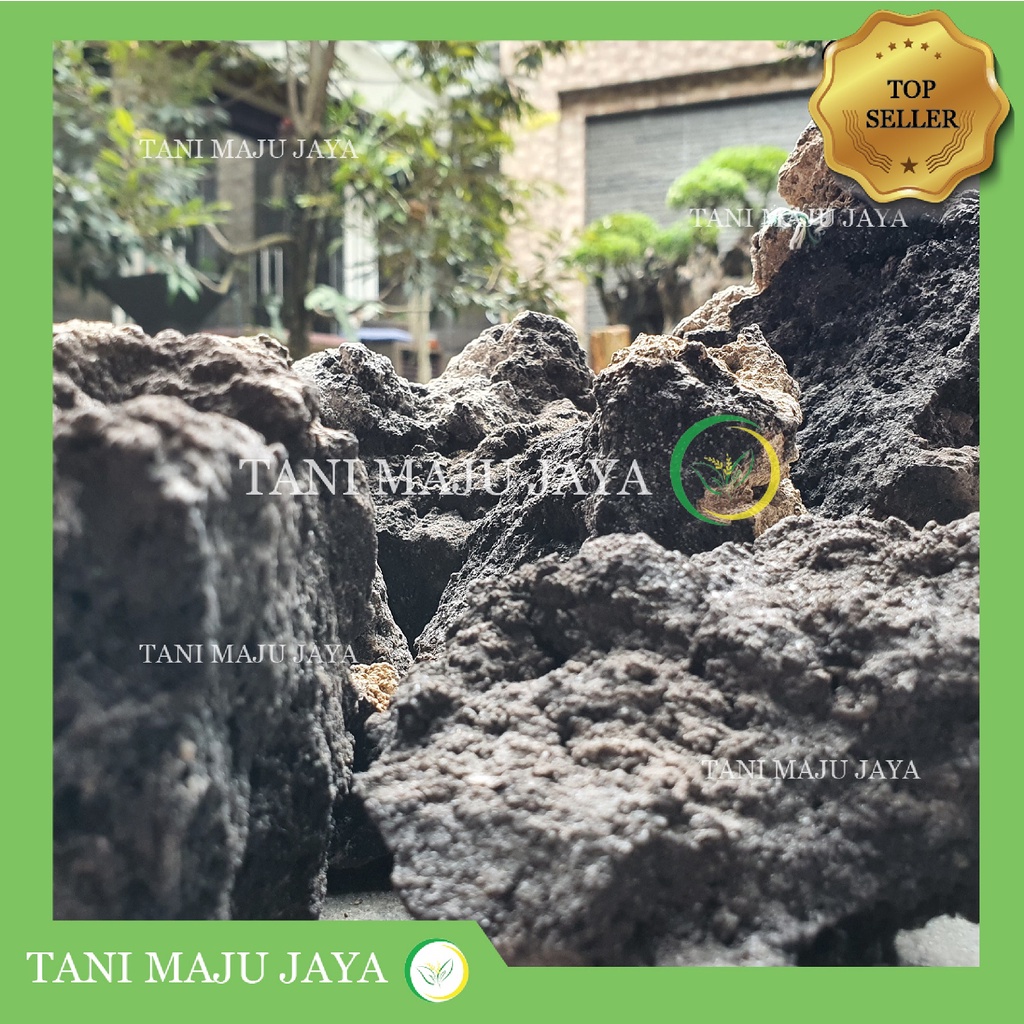 Jual Batu Lava Rock Batu Hias Dekorasi Hardscape Aquascape Paludarium ...