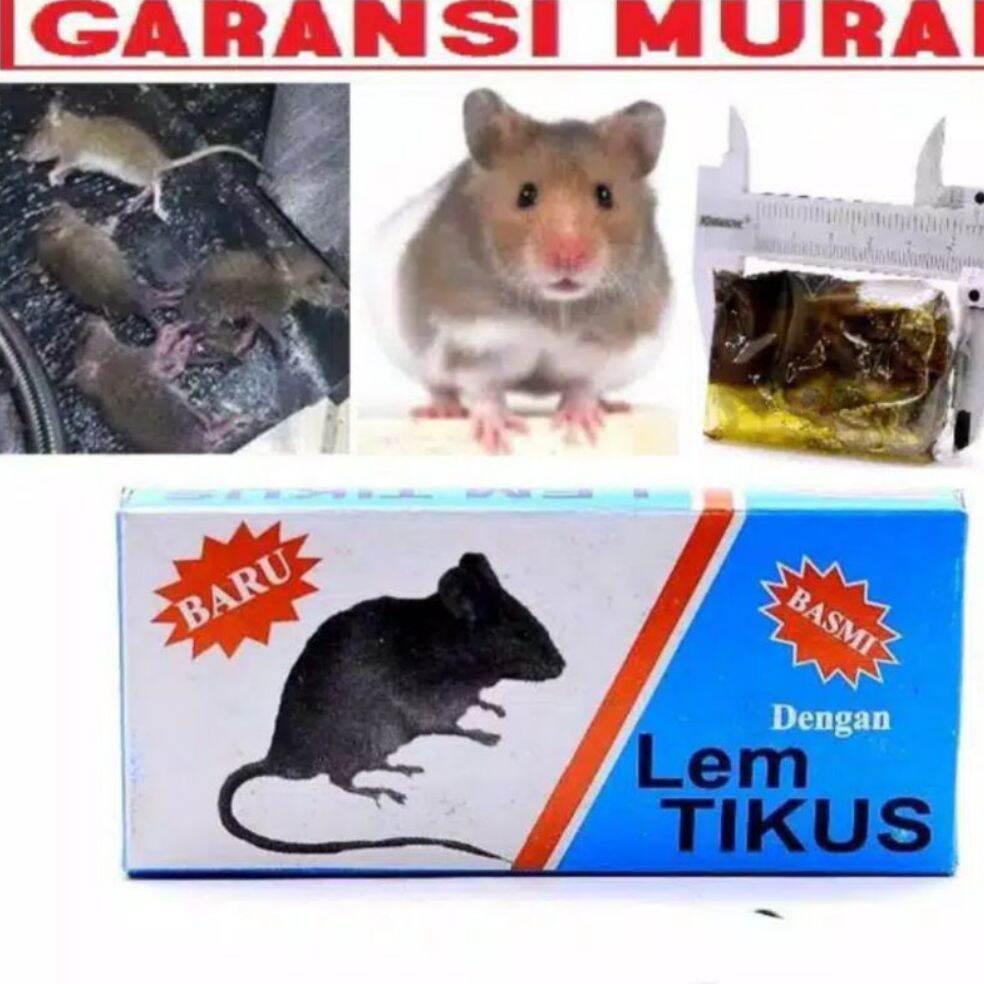 Jual LEM TIKUS DUS 1 PAK ISI 12 / PERANGKAP TIKUS AMPUH | Shopee Indonesia