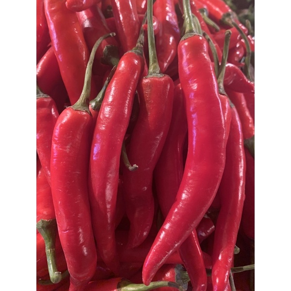 Jual cabe merah besar/250gram | Shopee Indonesia