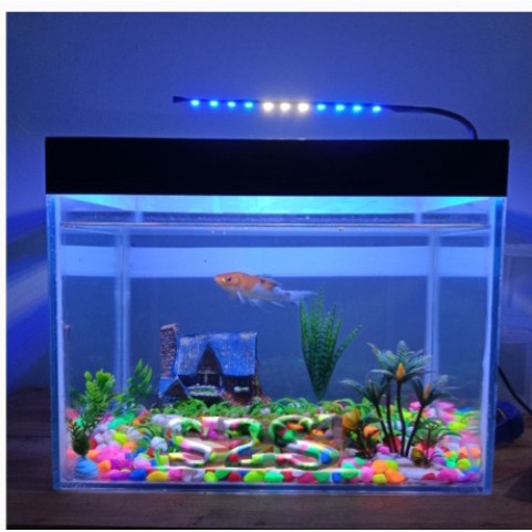 Jual Lampu Aquarium mini biru putih A 11 led Lampu Aqua scape 5 volt ...