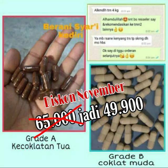 Jual Kapsul asam gelugur PREMIUM isi100 grade A tanpa garam dari kediri ...
