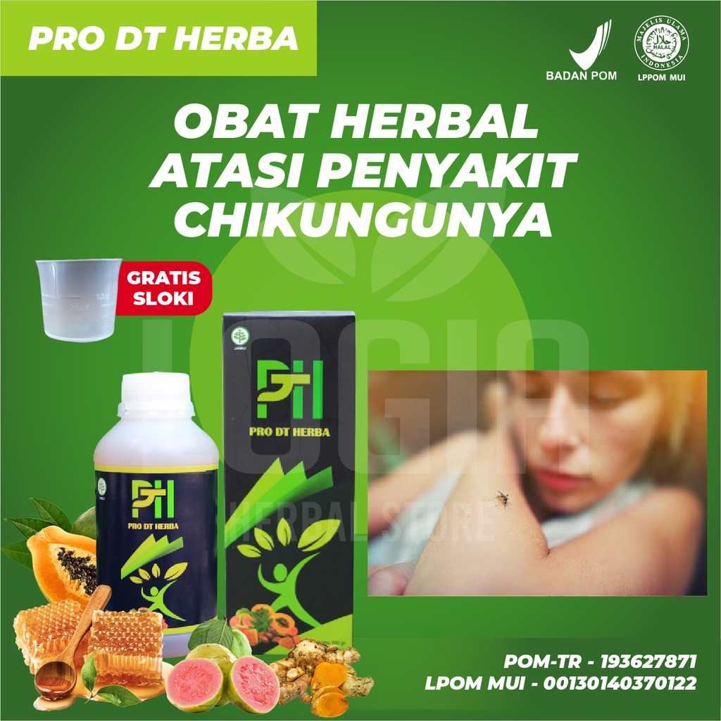 Jual Obat Chikungunya Infeksi Gigitan Nyamuk Demam Tinggi DBD Pusing ...