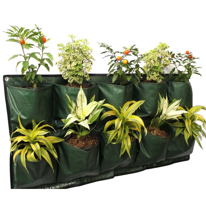 Jual Pot Kantong Tanaman Dinding isi 10 Kantong - Horizontal - Hijau ...