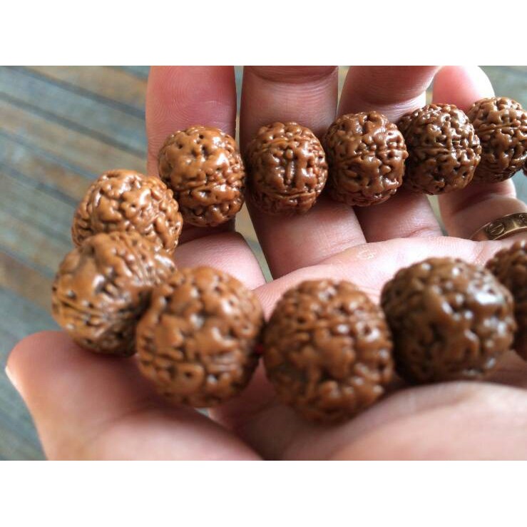Jual Gelang Jenitri 5 Garis 2 Tahun / Biji Bodhi Rudraksha / Pria ...