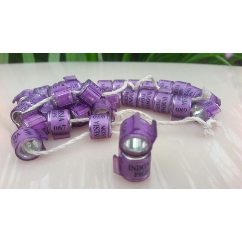Jual RING MERPATI POS MODEL CHIP | Shopee Indonesia