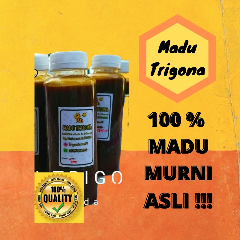 Jual Madu trigona/kelulut/klanceng itama | Shopee Indonesia