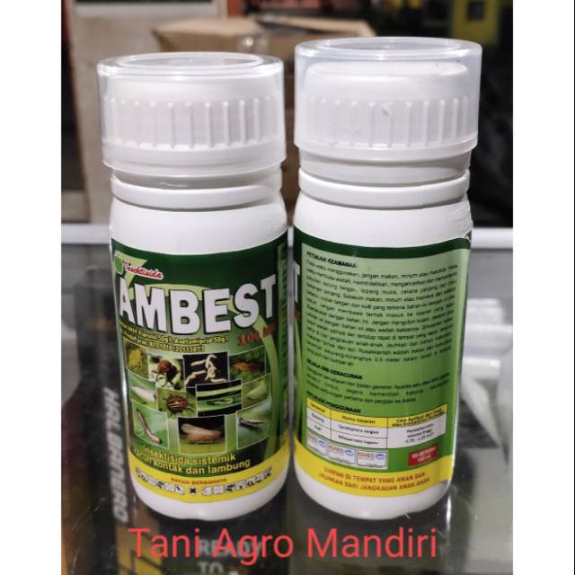 Jual AMBEST 100 MA | Shopee Indonesia