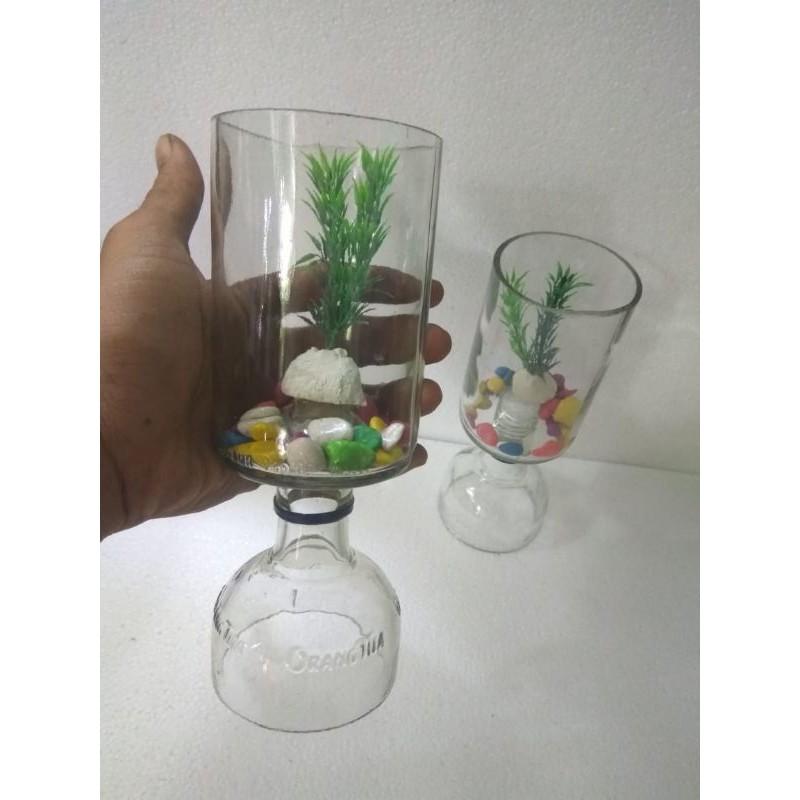 Jual botol tempat pelihara ikan cupang toples tabung botol tabung botol ...