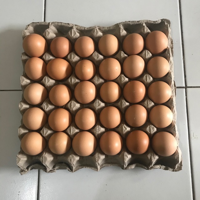 Jual TELUR AYAM NEGRI 1 PAPAN (30 BUTIR) FRESH | Shopee Indonesia
