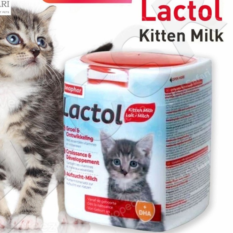 Jual Susu Anak Kucing Beaphar Lactol Kitten Milk 500 gr | Shopee Indonesia