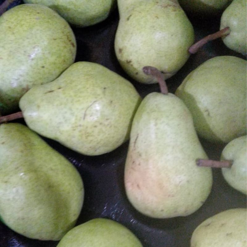 Jual Pir Packham 1kg Pir Pakham Pir Import Segar Buah Segar Bekasi ...