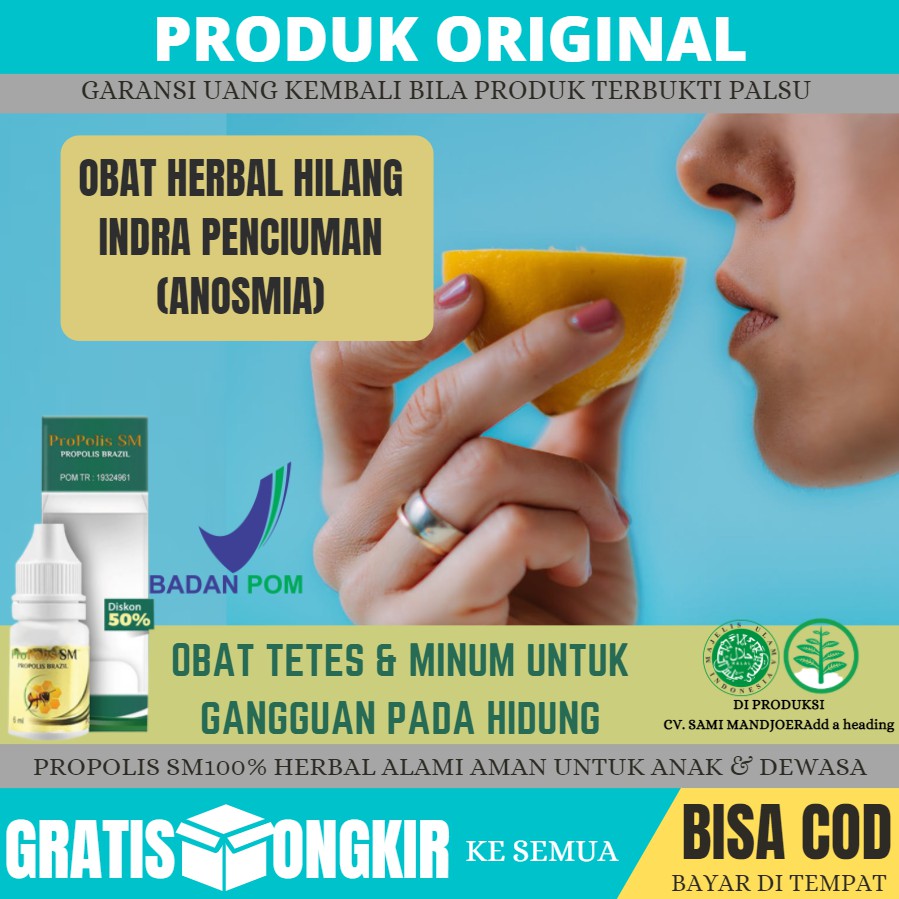 Jual Obat Gurah Hidung Meler, Sinusitis, Hilang Penciuman, Anosmia Akut ...