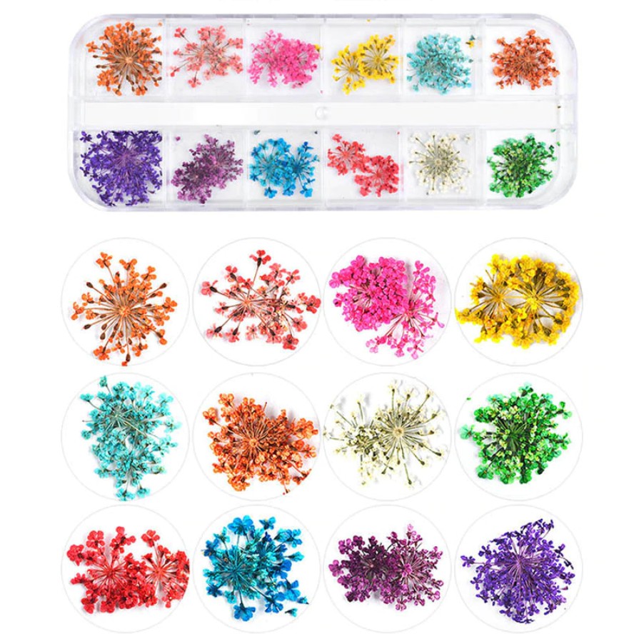 Jual Bunga Nail Art Bunga Kering Nailart Flower Nails Dried Flowers