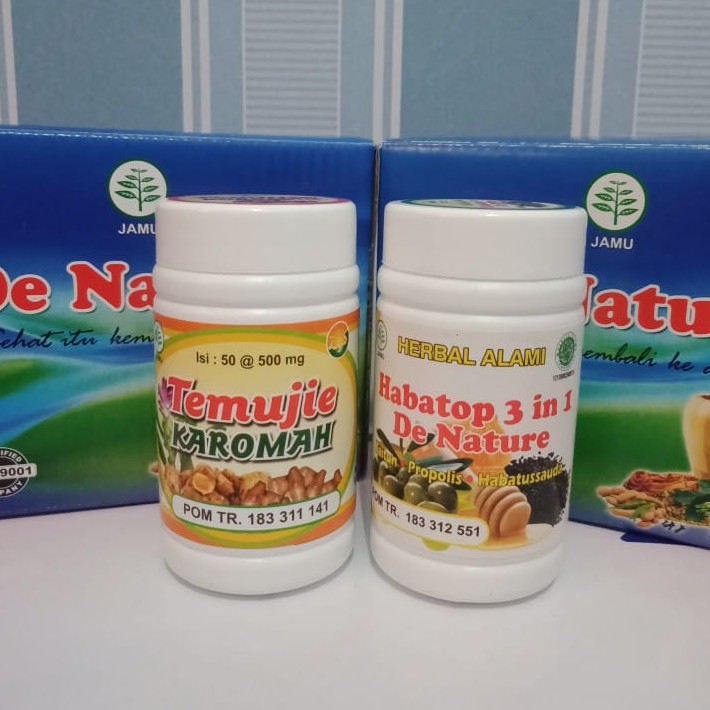 Jual (ORIGINAL) OBAT HEPATITIS A & B, PENYAKIT KUNING, LIVER - TEMUJI ...
