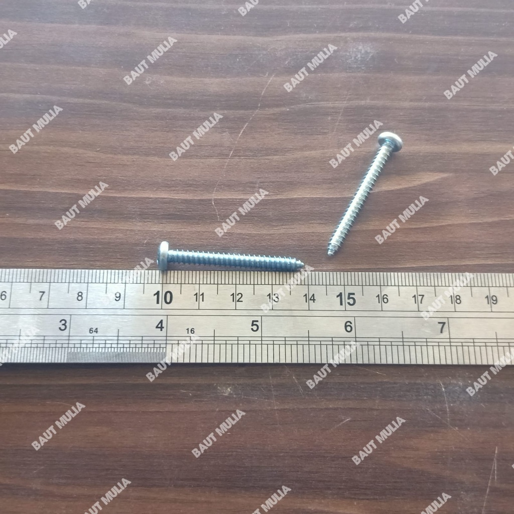 Jual SEKRUP PH 8X1 1/2" 3.8 CM ISI 10 PCS / BAUT TAPPING JP KEPALA ...