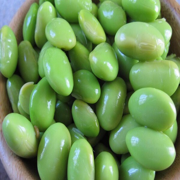 Jual Benih Bibit Edamame 50biji Kacang Kedelai Jepang Hijau Sayuran ...
