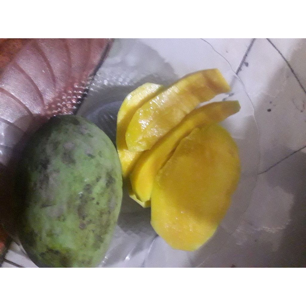Jual Mangga Kweni Bibit Aceh Grade A KHUSUS PEMBELIAN 5Kg | Shopee ...