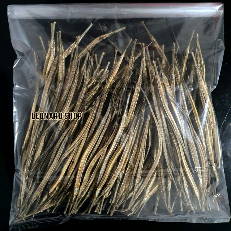 Jual NAGA LAUT HITAM SUPER 100 GRAM KERING HAI LONG BESAR 海龙 HERBAL ...