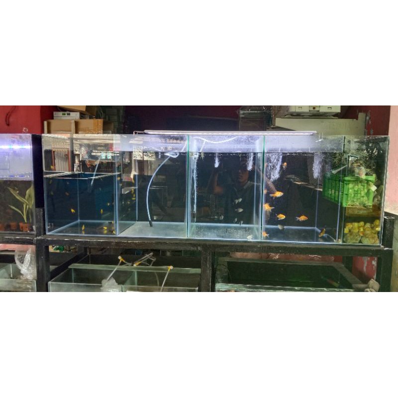 Jual Aquarium 120x40x40 sekat 4 ruang filter samping | Shopee Indonesia