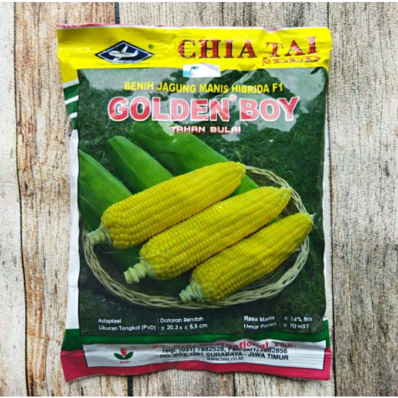 Jual 25 biji - benih golden boy jagung manis | Shopee Indonesia