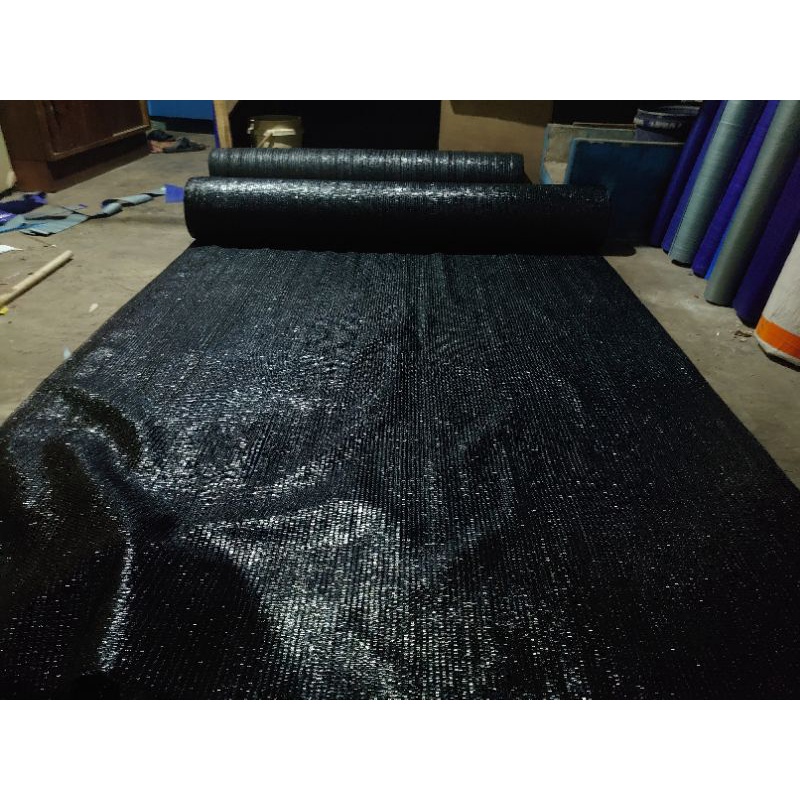 Jual PARANET 90% GRADE A MODEL V PARANET TANAMAN ECERAN | Shopee Indonesia