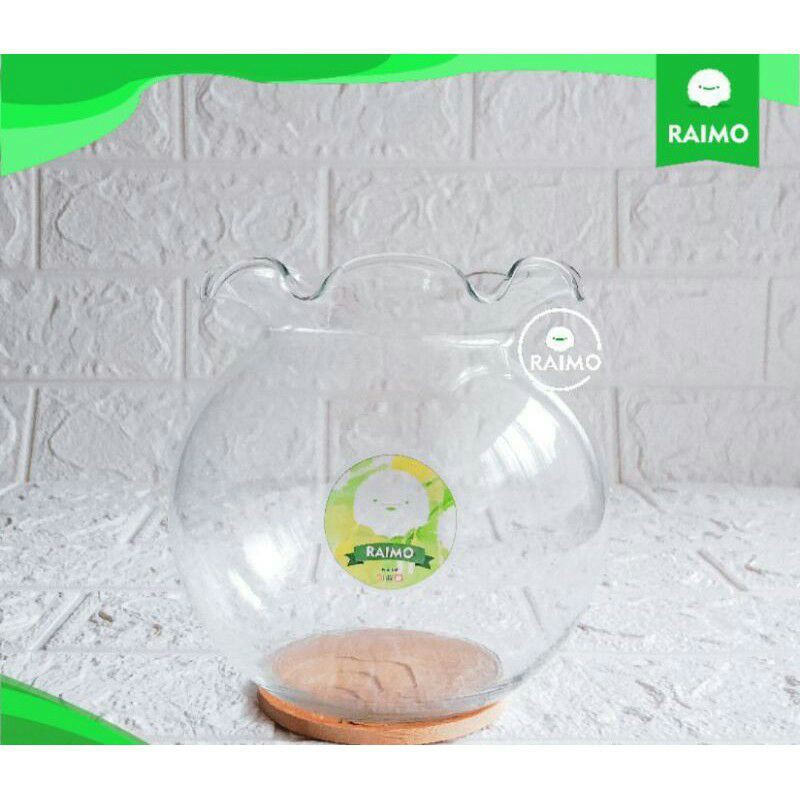 Jual Aquarium Bulat Mini 12 Liter Bahan Kaca Fish Bowl | Shopee Indonesia