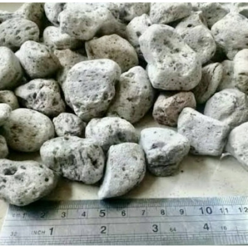 Jual Batu Apung Media Filter Pumice Aquarium 1 Kg | Shopee Indonesia