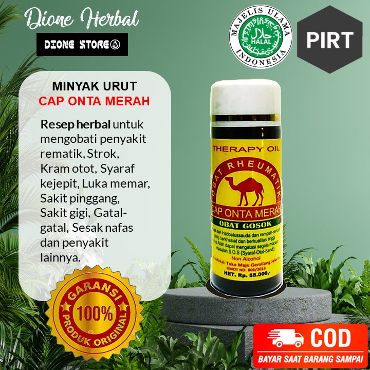 Jual Minyak gosok urut cap onta merah 100% asli original 60ml untuk ...