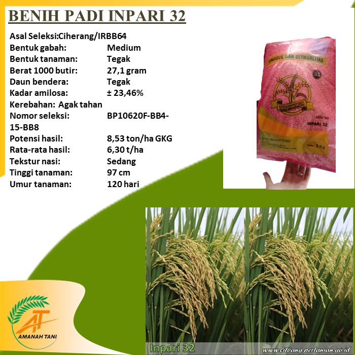 Jual BENIH PADI INPARI 32 5kg BIBIT PADI UNGGUL TERBARU BERSERTIFIKAT BERLABEL | Shopee Indonesia