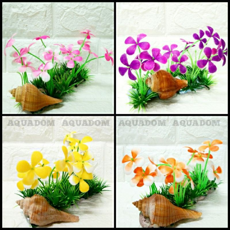 Jual HIASAN AQUARIUM TANAMAN RUMPUT ORNAMEN BATU DAN KERANG LAUT ASLI ...