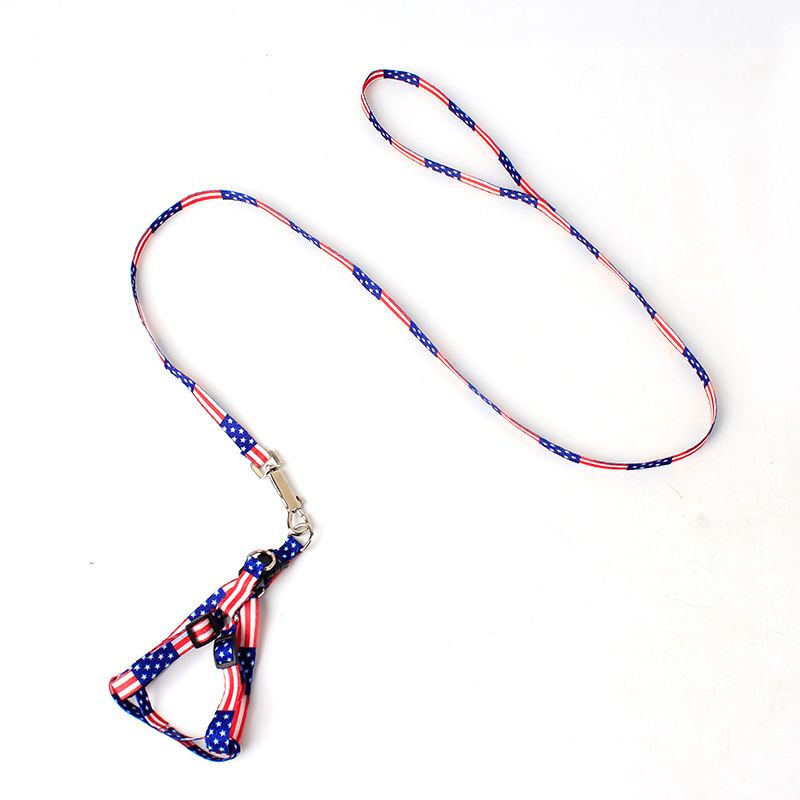 Jual Tali pet Warna berbilang Cheap dan mudah digunakan Tali Tuntunan ...