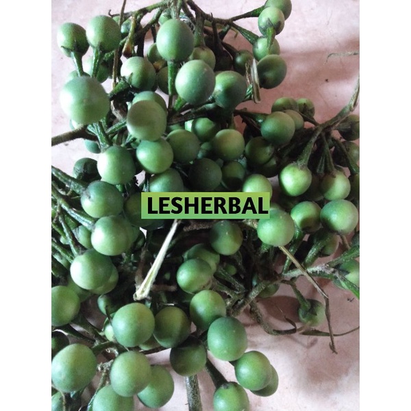 Jual buah takokak atau cepokak 500gram | Shopee Indonesia