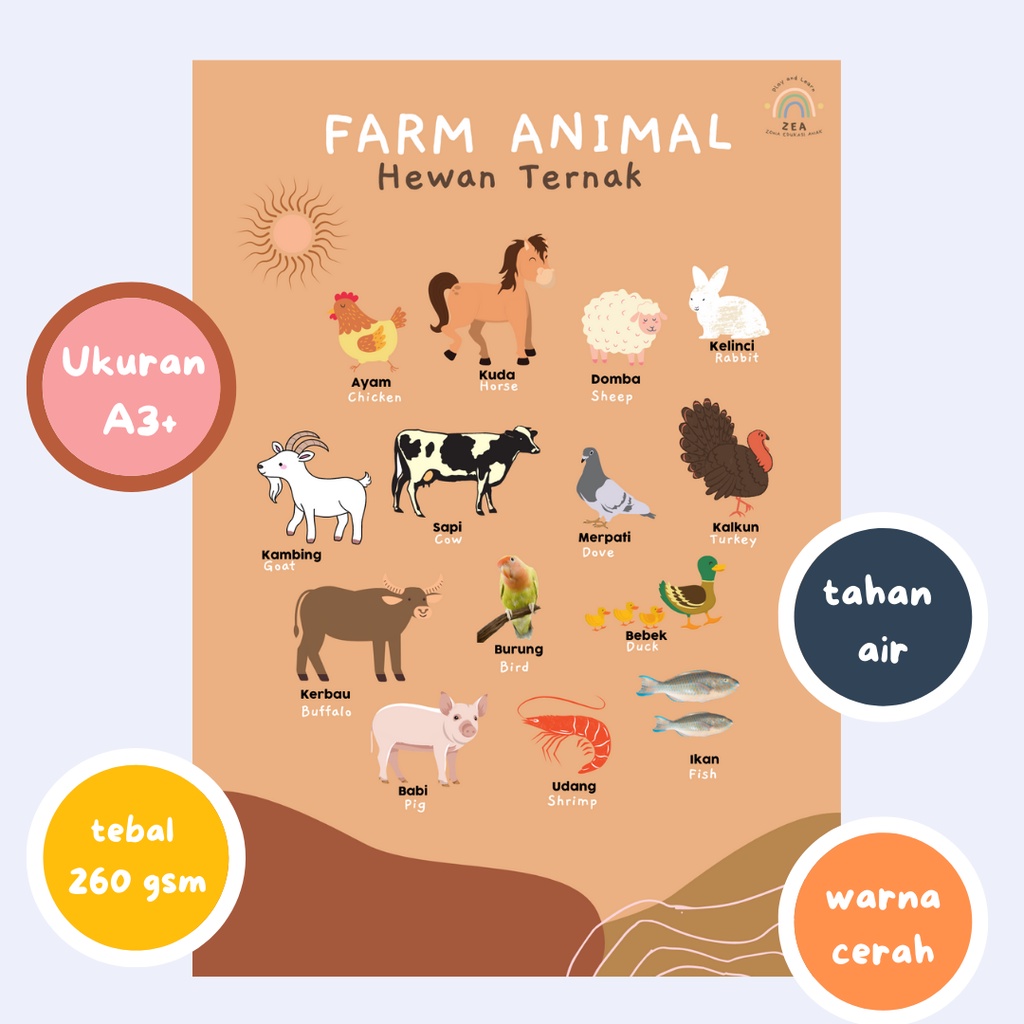 Jual Poster Edukasi Anak Seri Hewan/Animal - Poster Belajar Hewan Anak ...