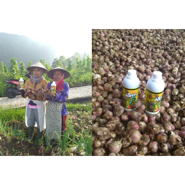 Jual Pupuk Organik Cair Plus Hayati Majemuk Bio Optifarm- volume 1 L ...