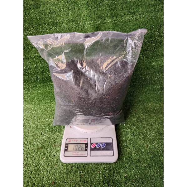 Jual Sekam bakar 1kg, media tanaman, media hydroponik, kaktus, bunga ...