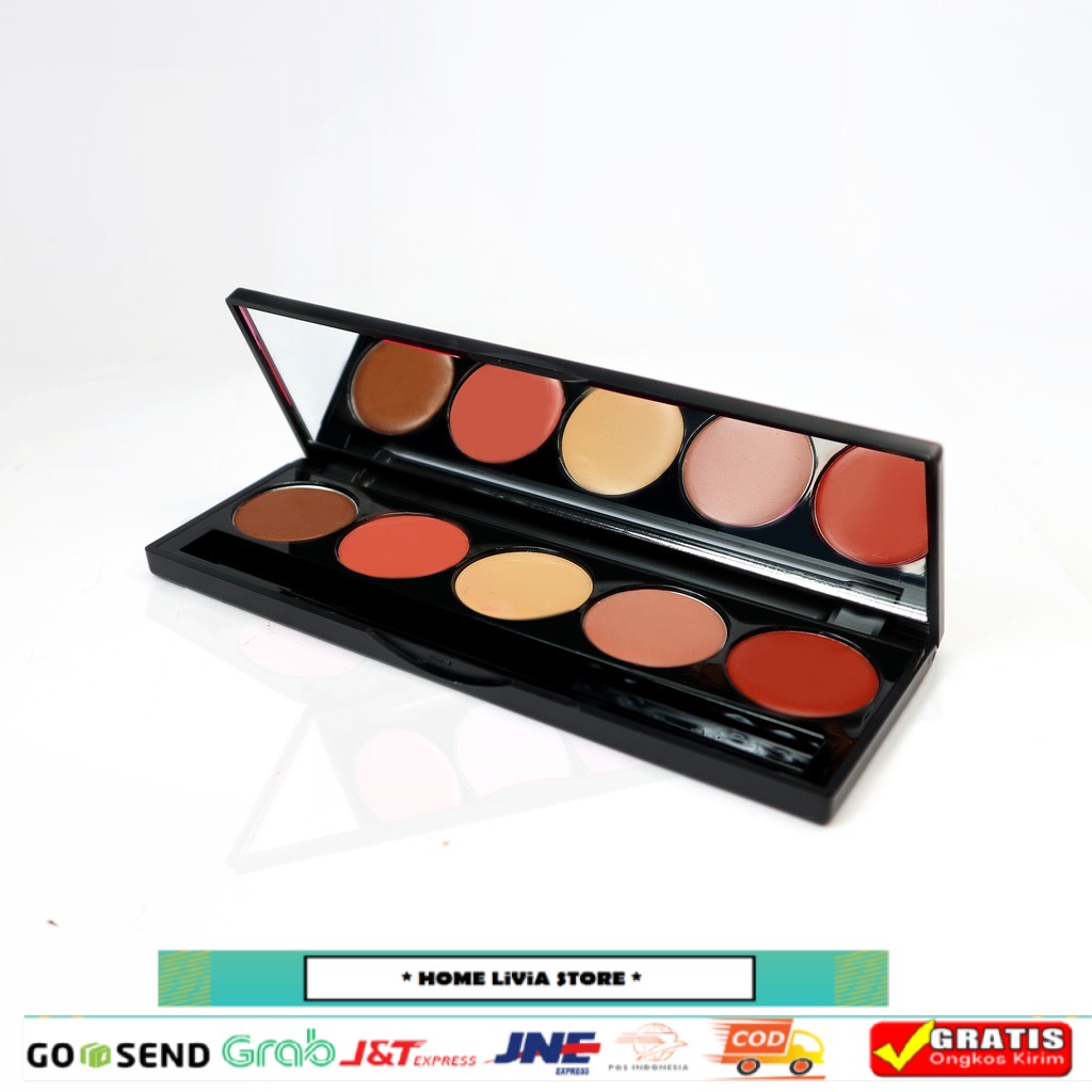 Jual LT PRO Lip Colour Pallete Pink | Shopee Indonesia