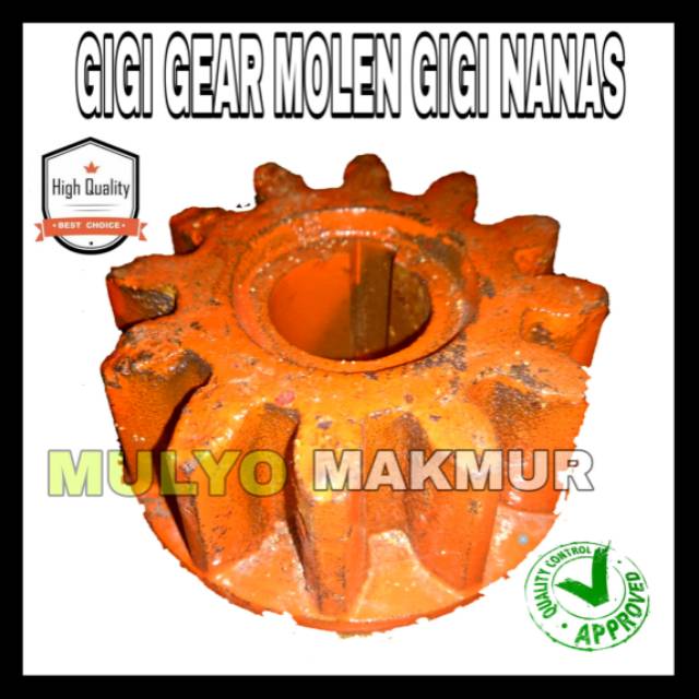 Jual GGI GEAR MOLEN GIGI PAYUNG 12T | Shopee Indonesia