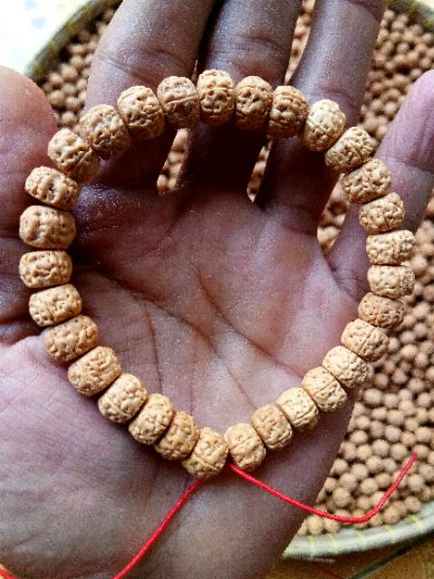 Jual Jenitri Genitri Gelang Rudraksha Halus Nyaman Di Pakai | Shopee ...