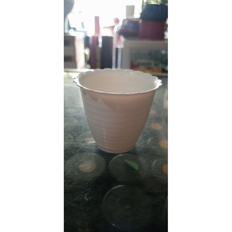 Jual pot mini putih 8 cm | Shopee Indonesia