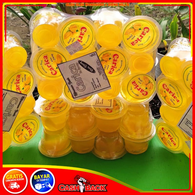 Jual Olivoliv Snack Sirup/ Manisan Carica Mini Khas Dieng Oleh Oleh ...